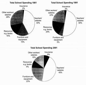 IELTS Task 1: Pie Charts and Graphs | How to do IELTS