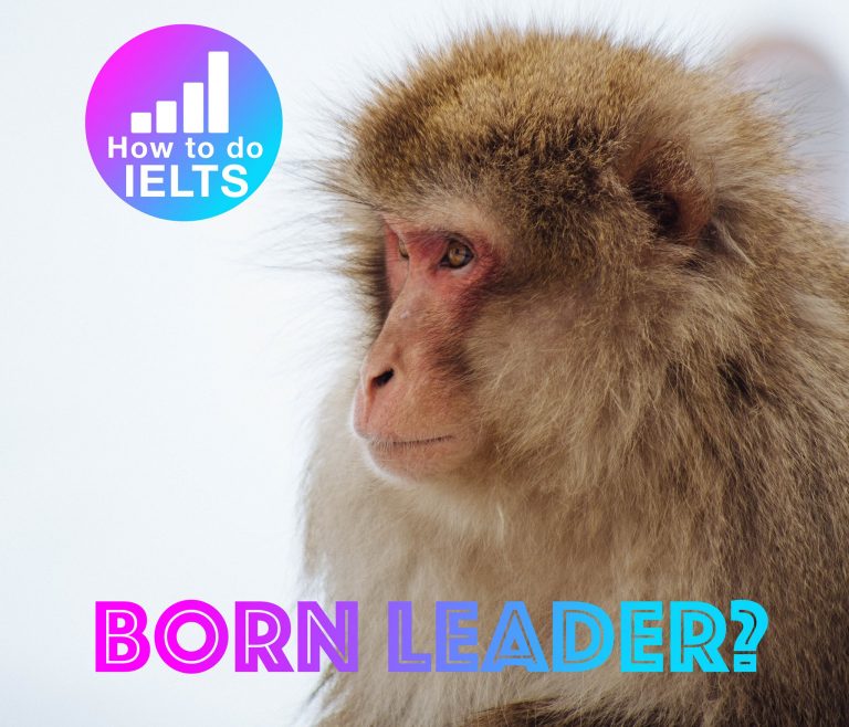 IELTS Writing Task 2 Sample Answer: Leadership | How to do IELTS