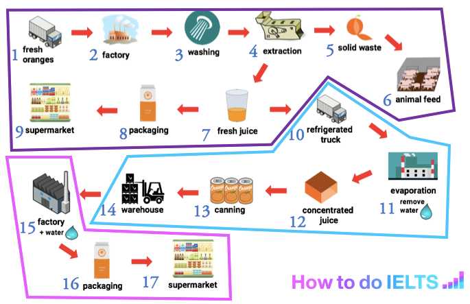 IELTS Writing Task 1: How to Analyse a Process | How to do IELTS