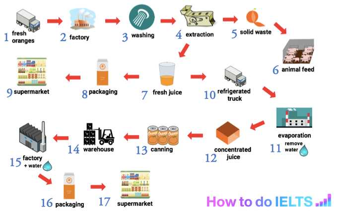 IELTS Writing Task 1: How to Analyse a Process | How to do IELTS