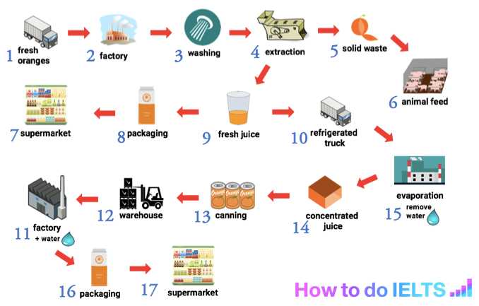 IELTS Writing Task 1: How to Analyse a Process | How to do IELTS