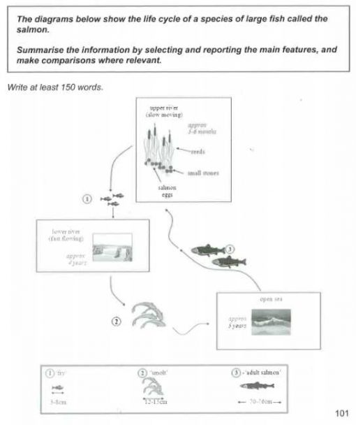 IELTS Writing Task 1: How to Analyse a Process | How to do IELTS