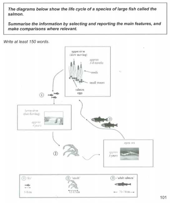 IELTS Writing Task 1: How to Analyse a Process | How to do IELTS