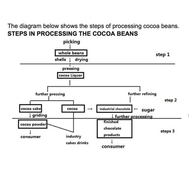 IELTS Task 1: Processes/Diagrams | How to do IELTS