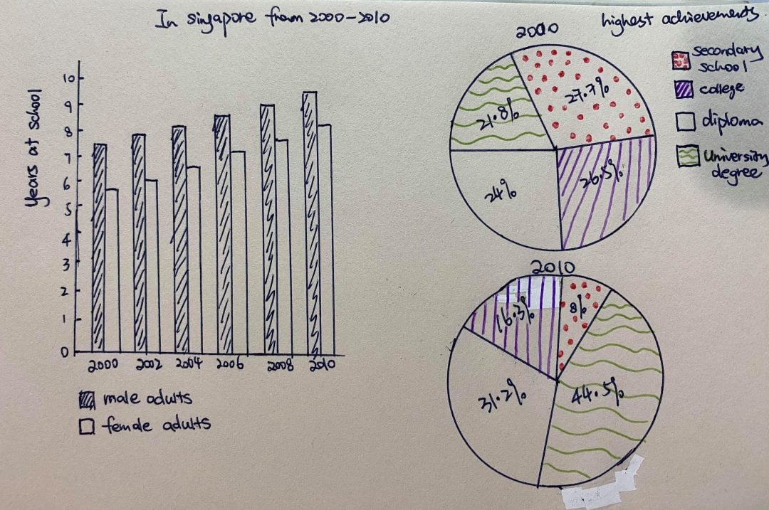 IELTS Essay: Two Graphs (Pie and Bar Charts) | How to do IELTS
