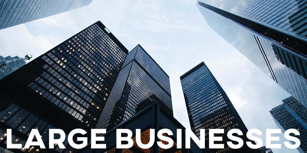 IELTS Essay: Large Businesses | How to do IELTS