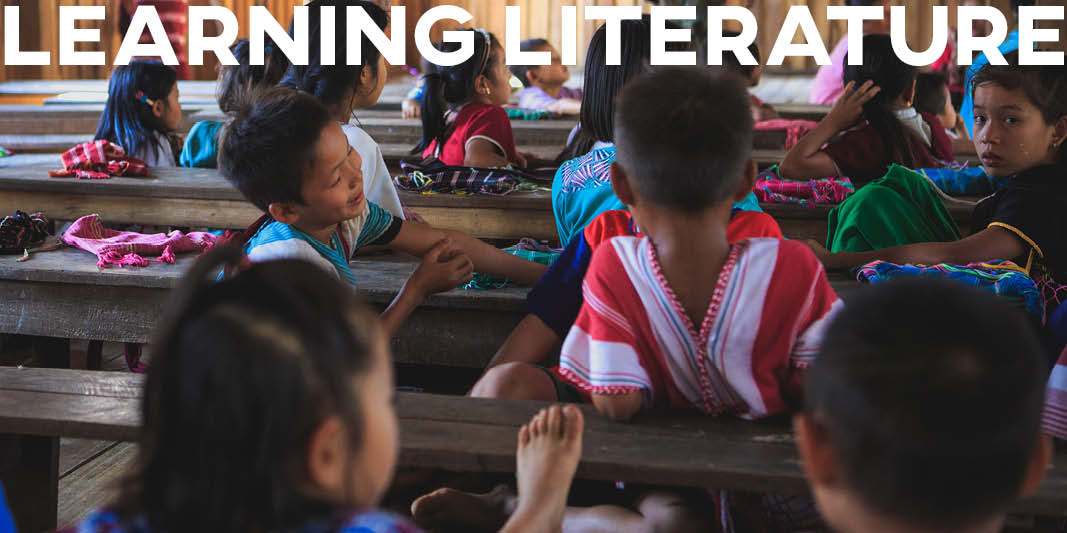 IELTS Essay: Learning Literature | How to do IELTS