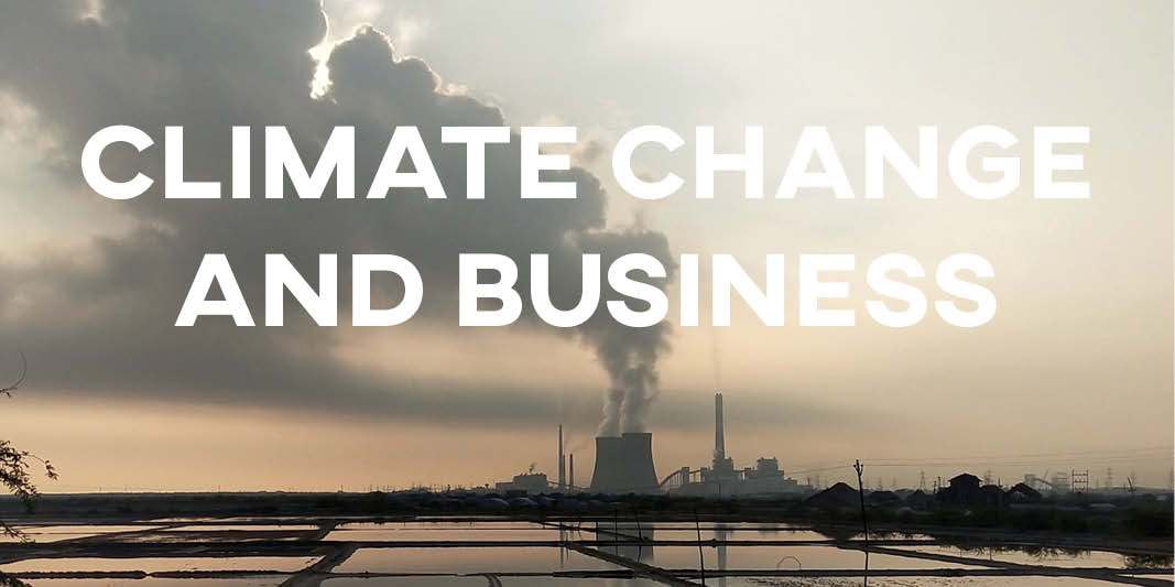 IELTS Essay: Climate Change and Business | How to do IELTS