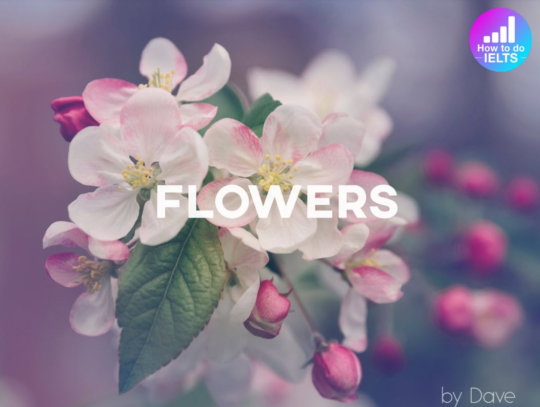 IELTS Speaking: Flowers | How to do IELTS
