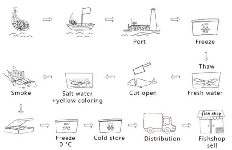 Latest IELTS Writing Task 1 2025 (Graphs, Charts, Maps, Processes ...